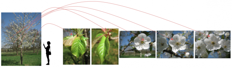 Building Image Classification Model Based On Pre Trained Neural Network