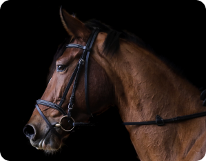 AI Software Development - InData Labs