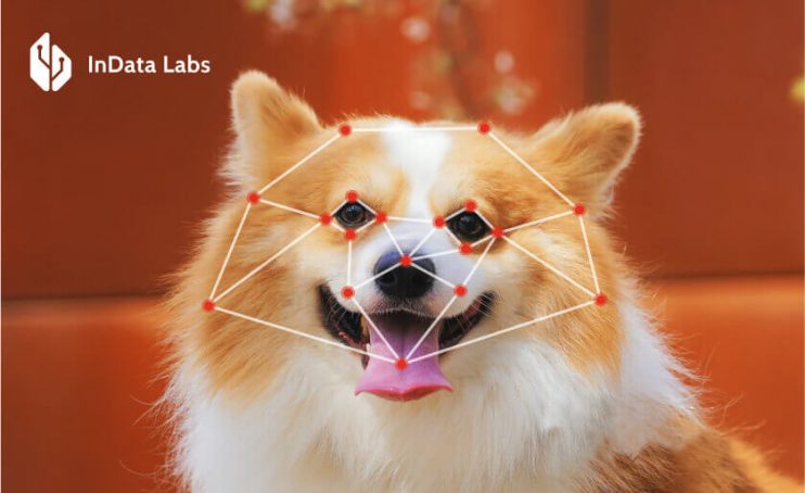 Dog Face Recognition for a Mobile App – InData Labs