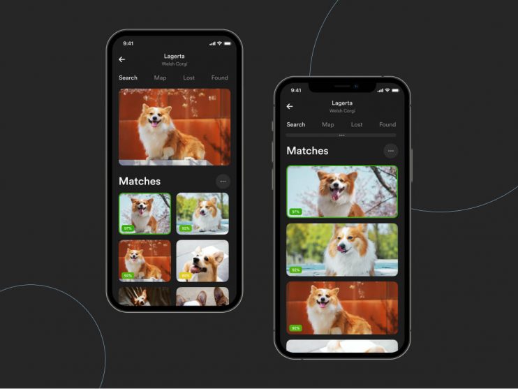 Dog Face Recognition for a Mobile App – InData Labs