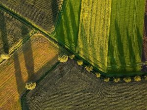Machine Learning in Agriculture: Top Applications - InData Labs