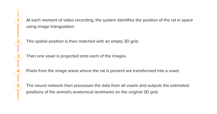 Human Activity Recognition: Everything You Should Know
